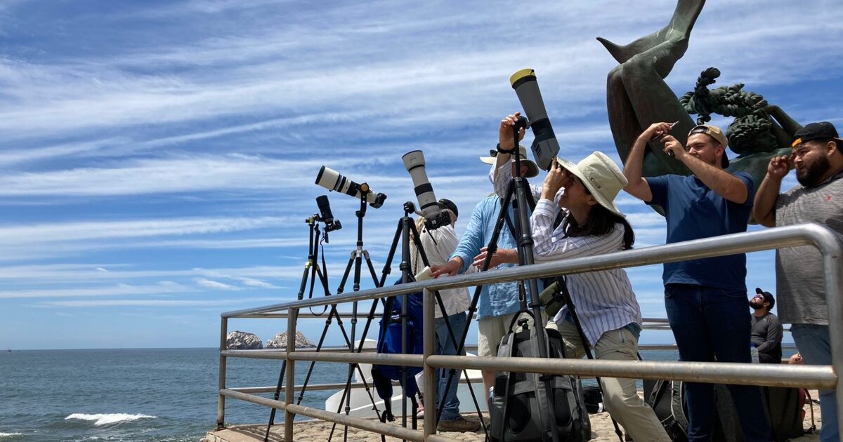 Así se vivió el Eclipse Total de Sol desde Mazatlán | Revista Espejo