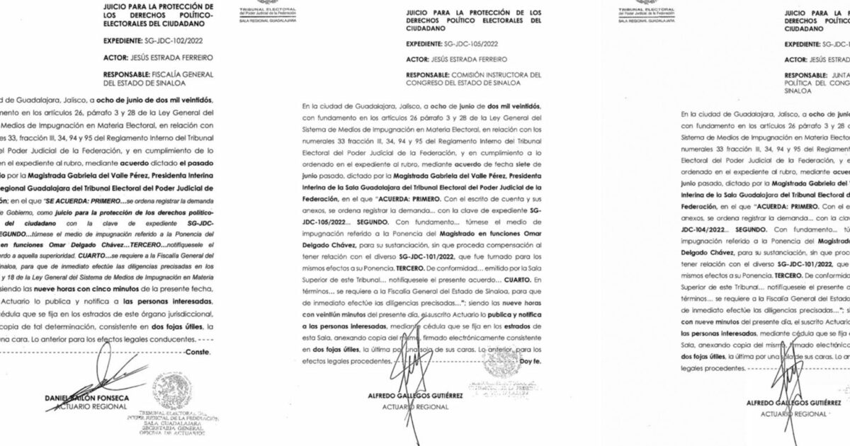 Trife admite procedimientos de Estrada Ferreiro para la protección de ...