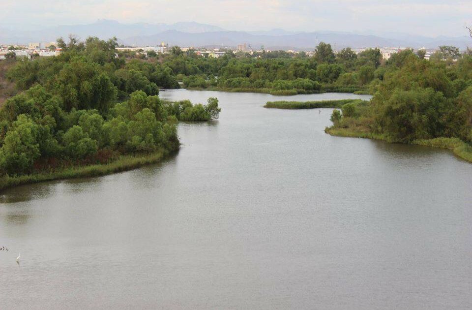 A Culiacán lo atraviesan 14 tipos de ecosistemas que nos brindan sus ...