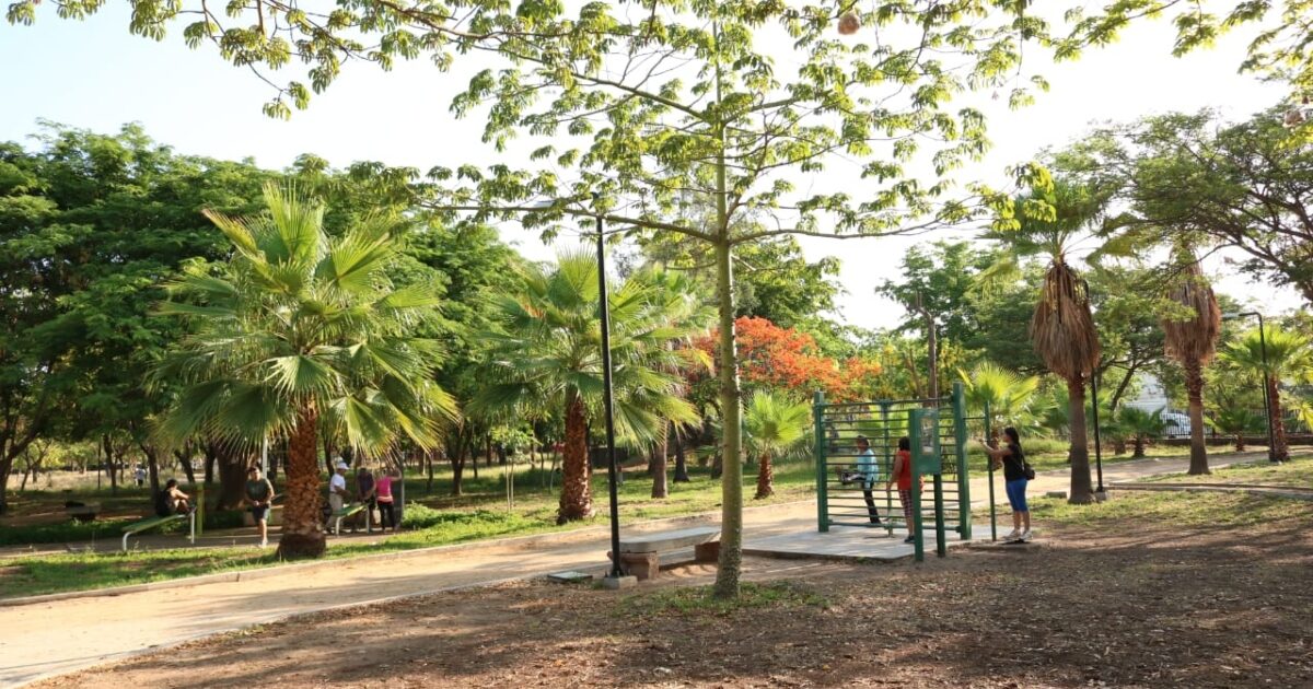 Contará Parque Ecológico Culiacán con nuevos módulos ejercitadores | Revista Espejo