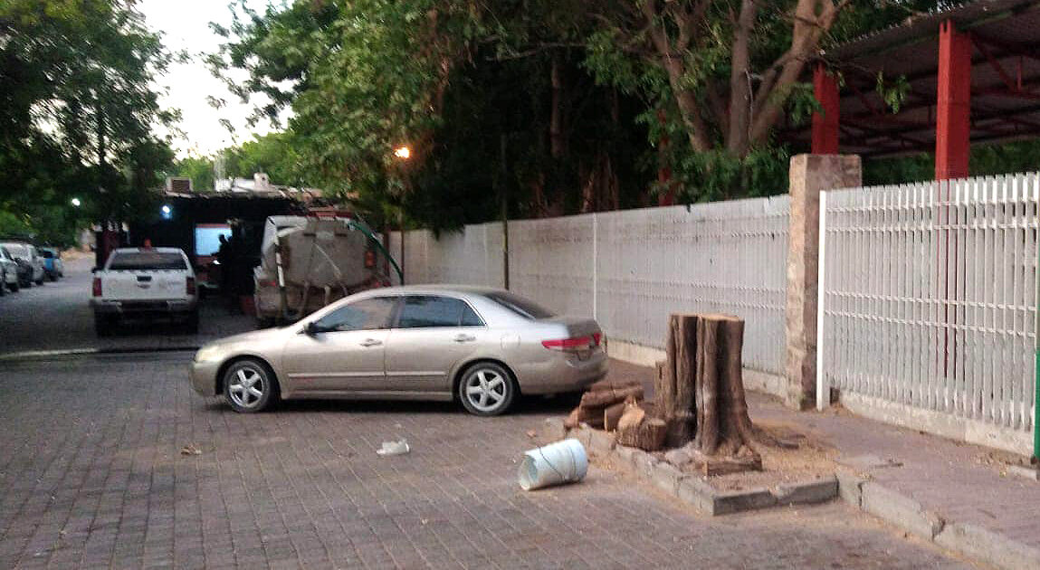 Árbol estaba seco y era un peligro, dice Parques y Jardines; pero ...