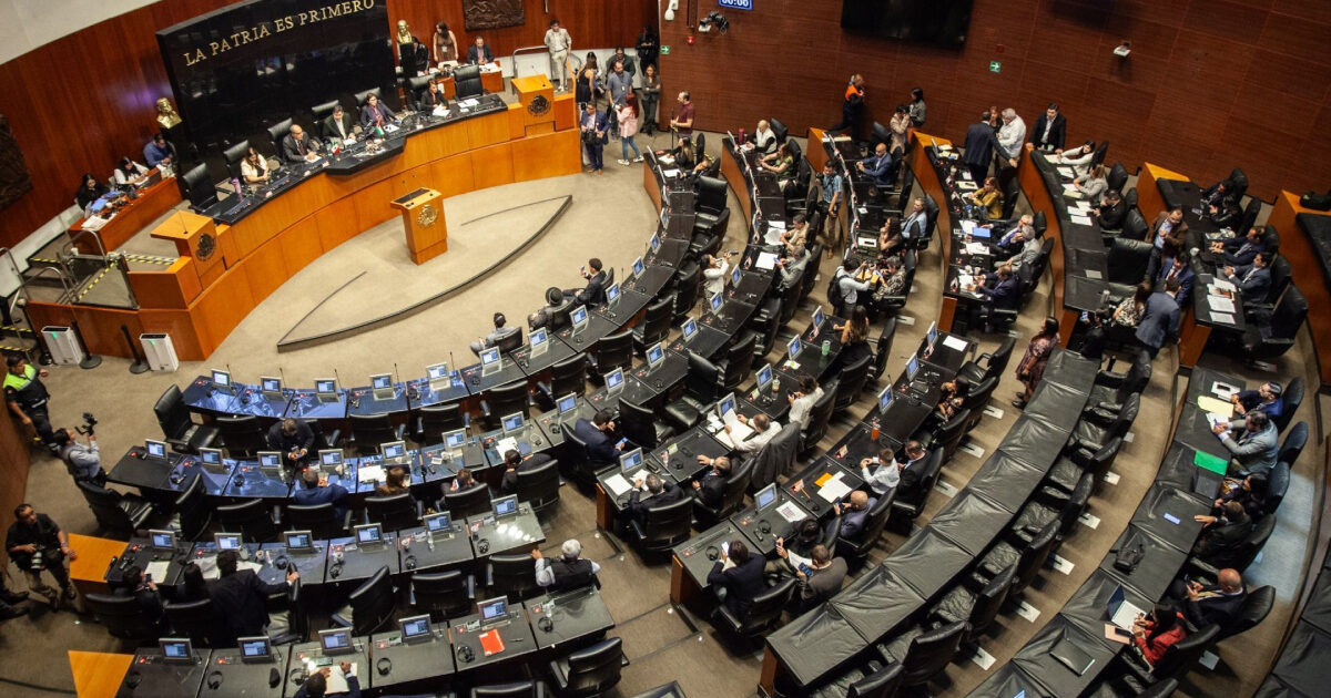 Los socios de Morena (PT-Verde) y la elección de 2027 complican la ...