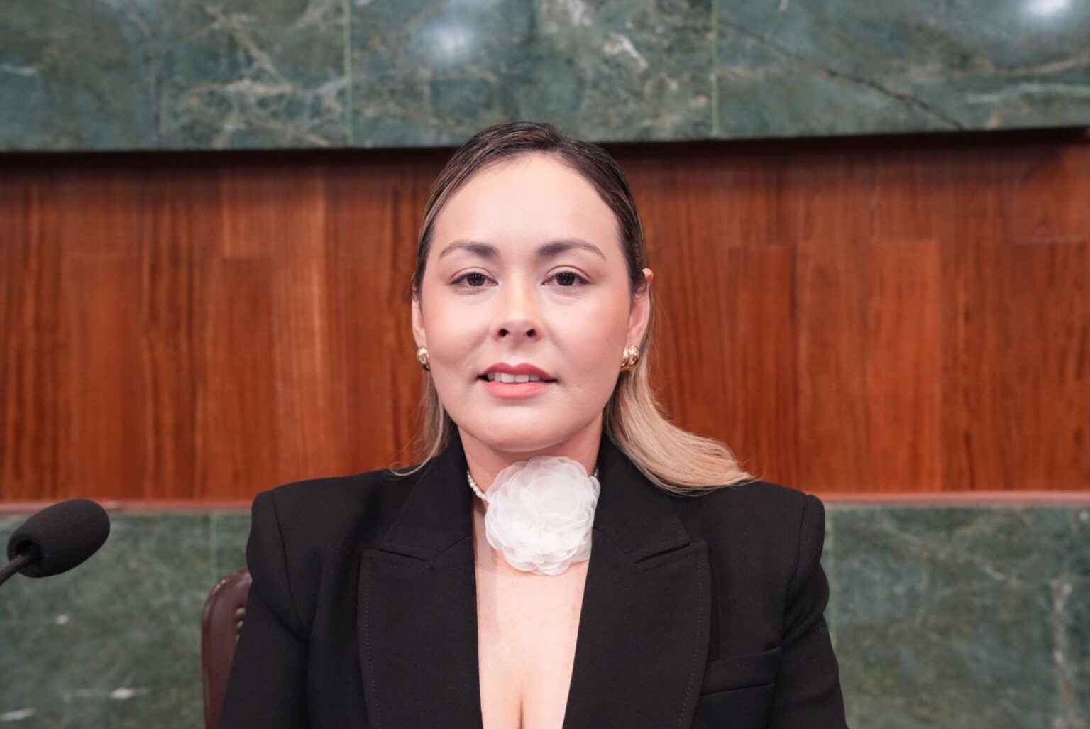 ¿Quién es Yeraldine Bonilla Valverde, sustituta de Rocha Moya en ...