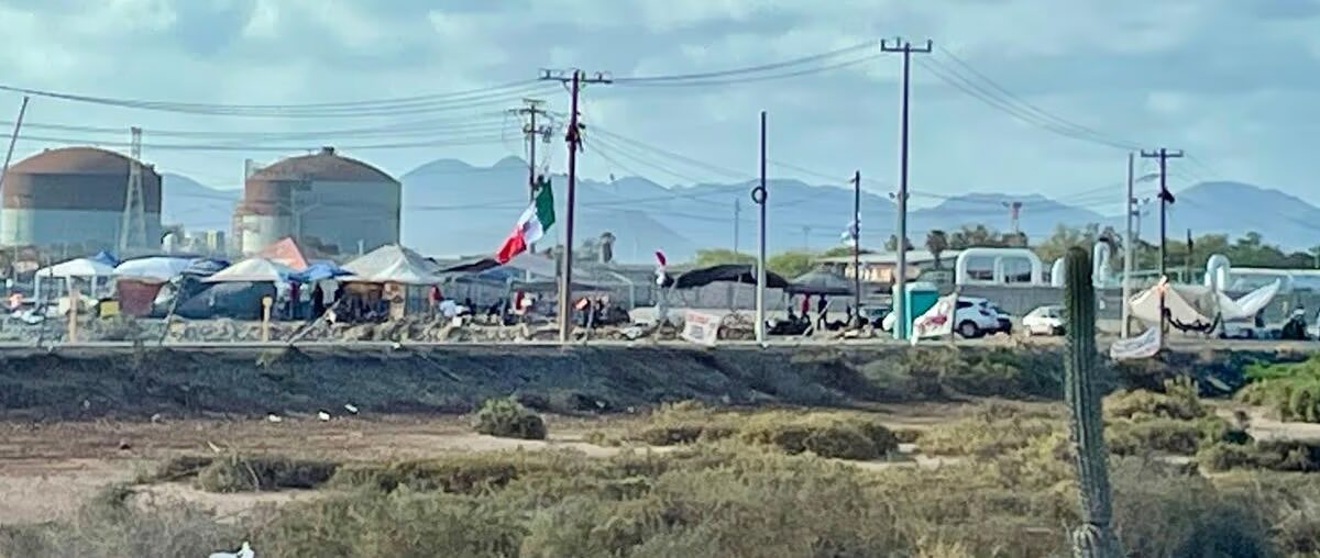 Proman GPO acusa que bloqueo en Topolobampo afecta a 3 mil trabajadores ...