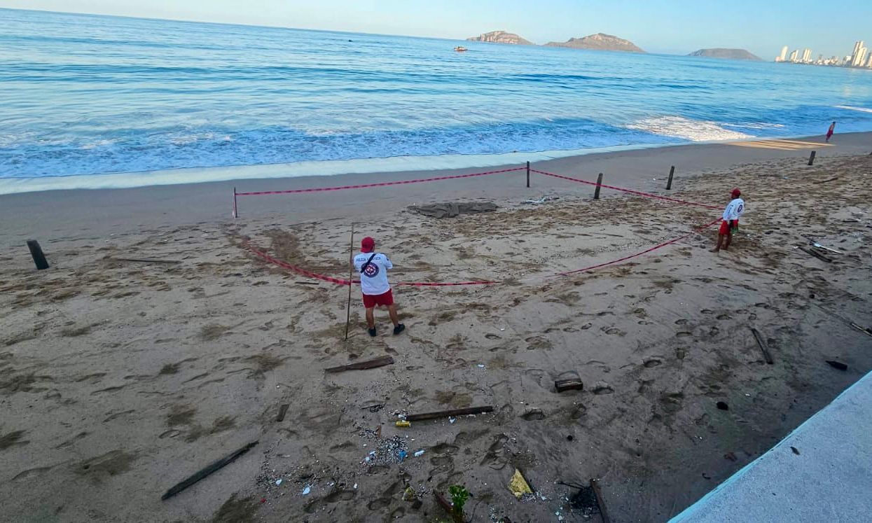 Se deslinda director del IMDEM de Triatlón de Mazatlán que dejó un ...